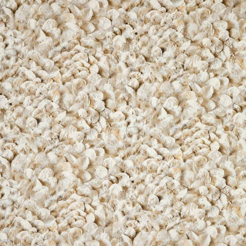 Shop Sample Arco Wildflower Wallpaper in Nutmeg | Burke Decor