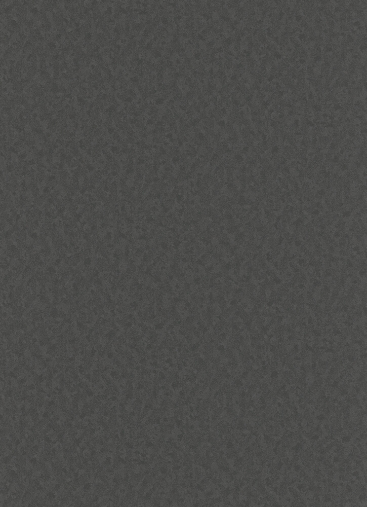 Shop Sample Elspeth Solid Wallpaper in Black design by BD Wall | Burke ...