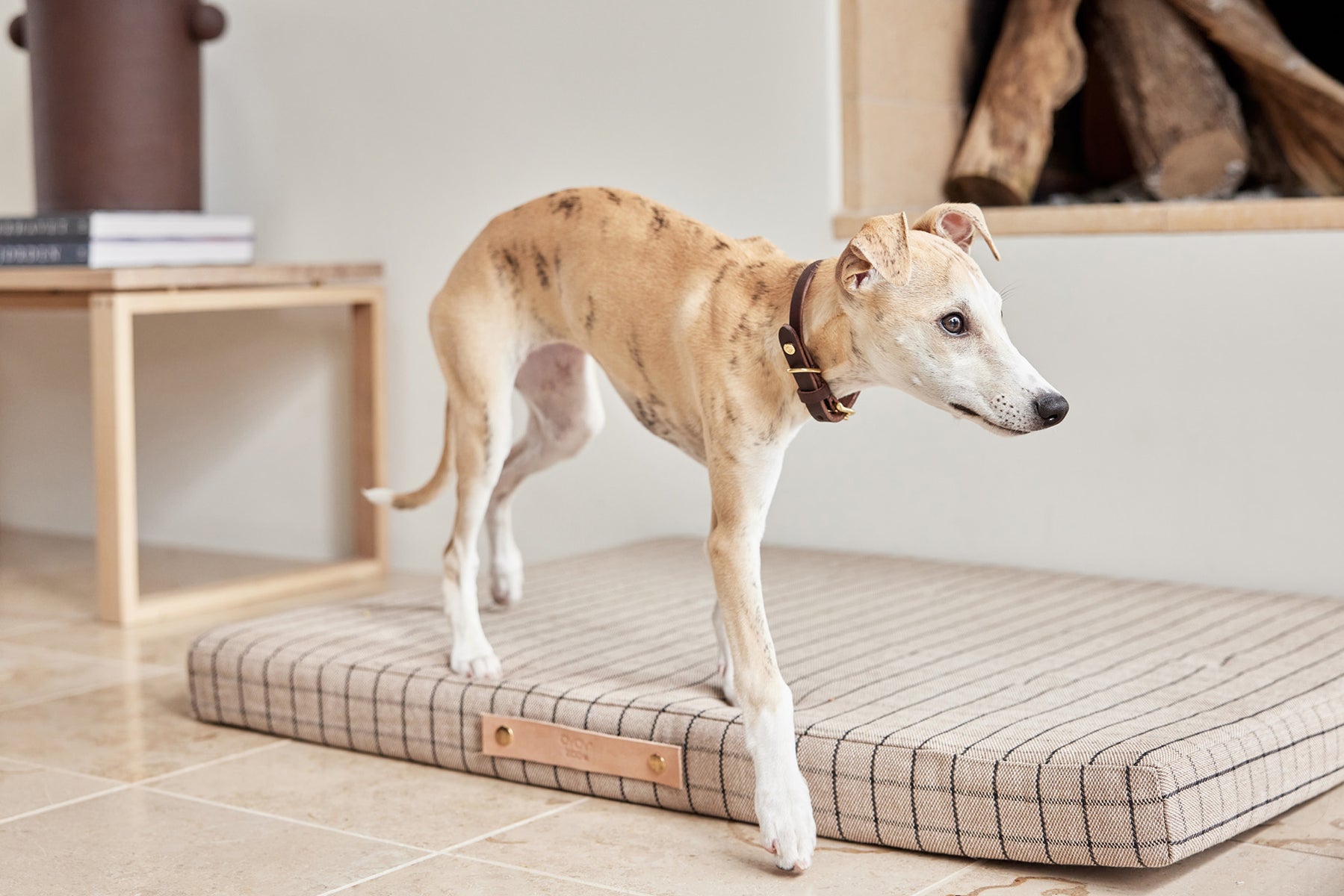 Shop Milo Grid Dog Cushion | Burke Decor