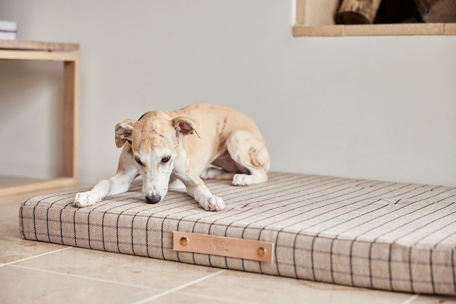 Shop Milo Grid Dog Cushion | Burke Decor
