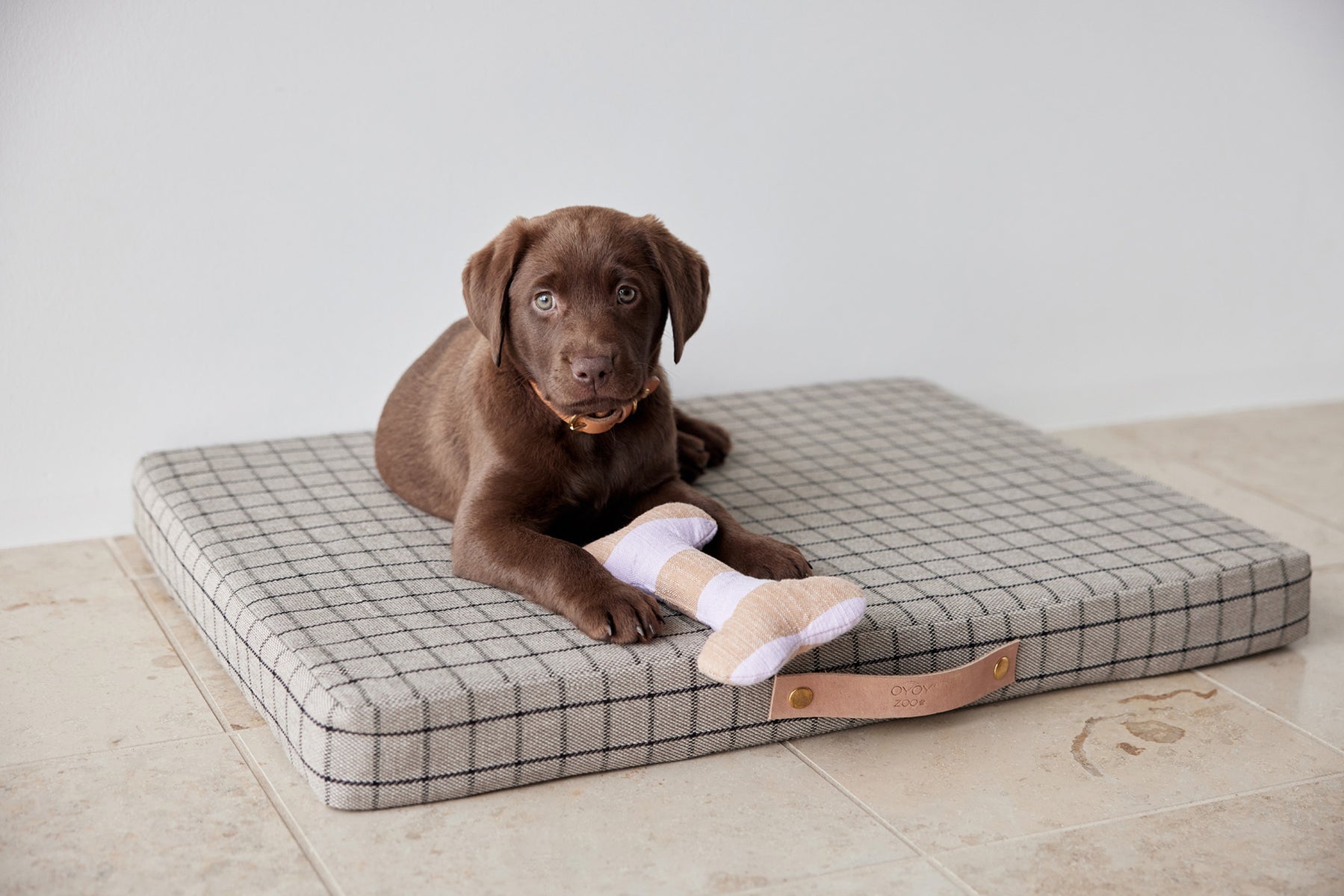 Shop Milo Grid Dog Cushion | Burke Decor