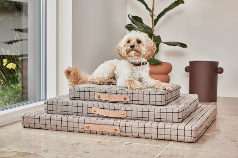 Shop Milo Grid Dog Cushion | Burke Decor