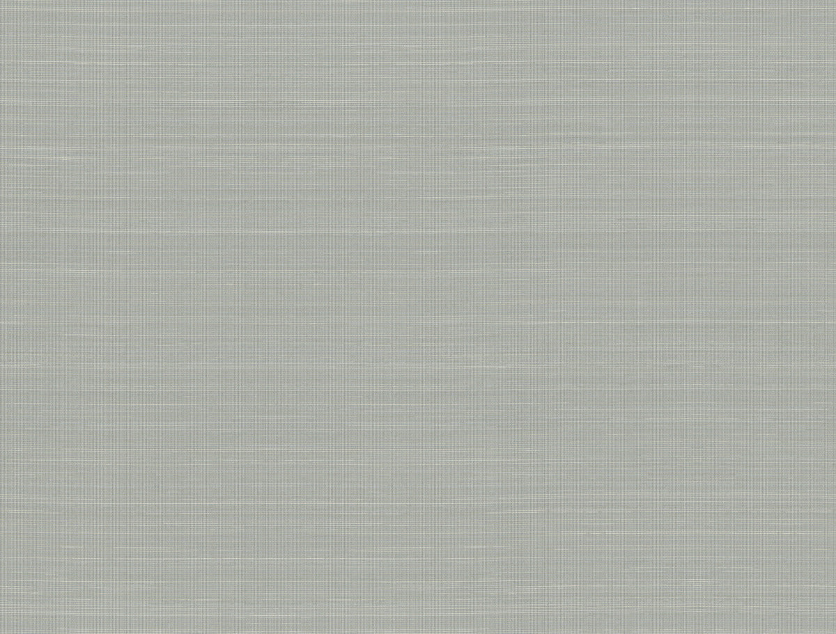 Shop Sample Laguna Abaca Peel & Stick Wallpaper in Blue/Grey by York ...