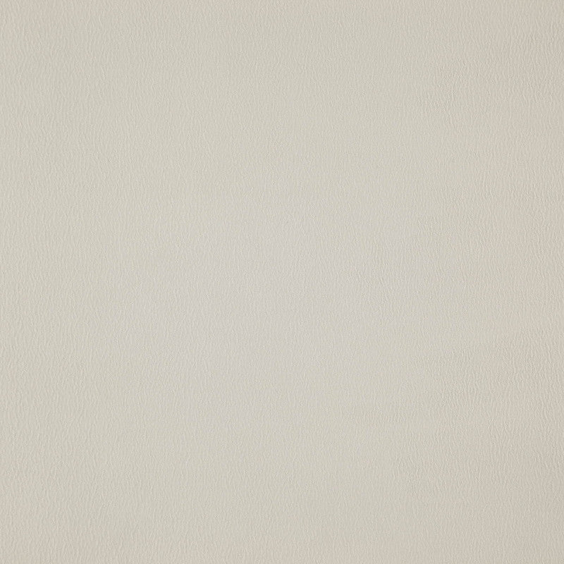 Shop Sample Wisdom Fabric in Creme/Beige | Burke Decor