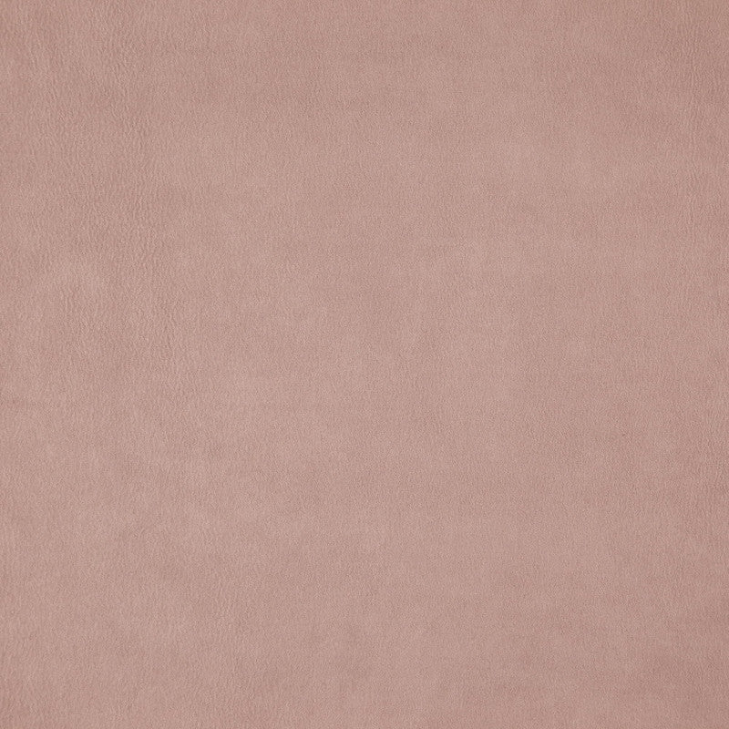 Shop Sample Wisdom Fabric in Pink | Burke Decor